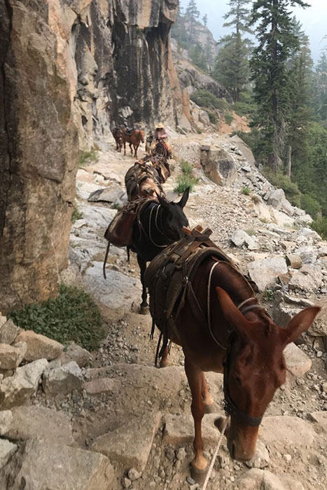 Kennedy Meadows Resort & Packstation